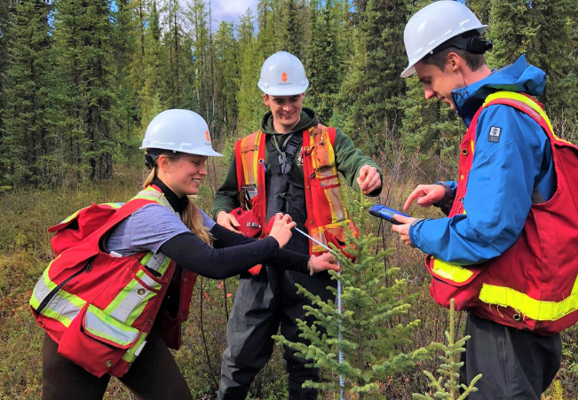 Services - Environmental Mapping